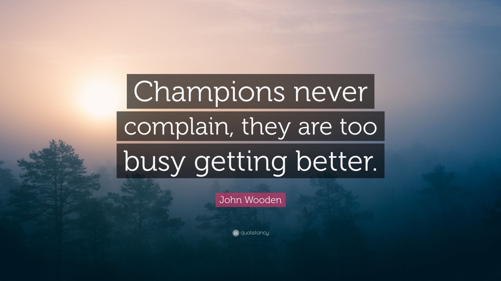 John Wooden Quote: “Champions never complain, they are too busy getting ...