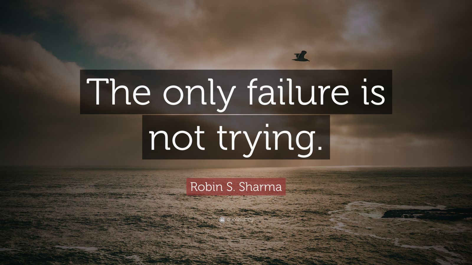 Robin S. Sharma Quote: “The only failure is not trying.” (12 wallpapers ...