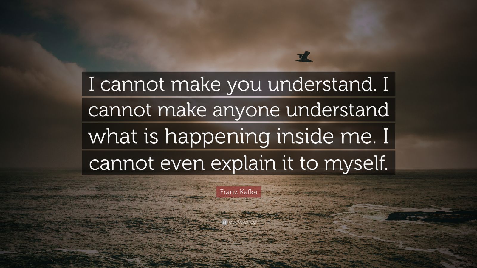 Franz Kafka Quote: “I cannot make you understand. I cannot make anyone ...