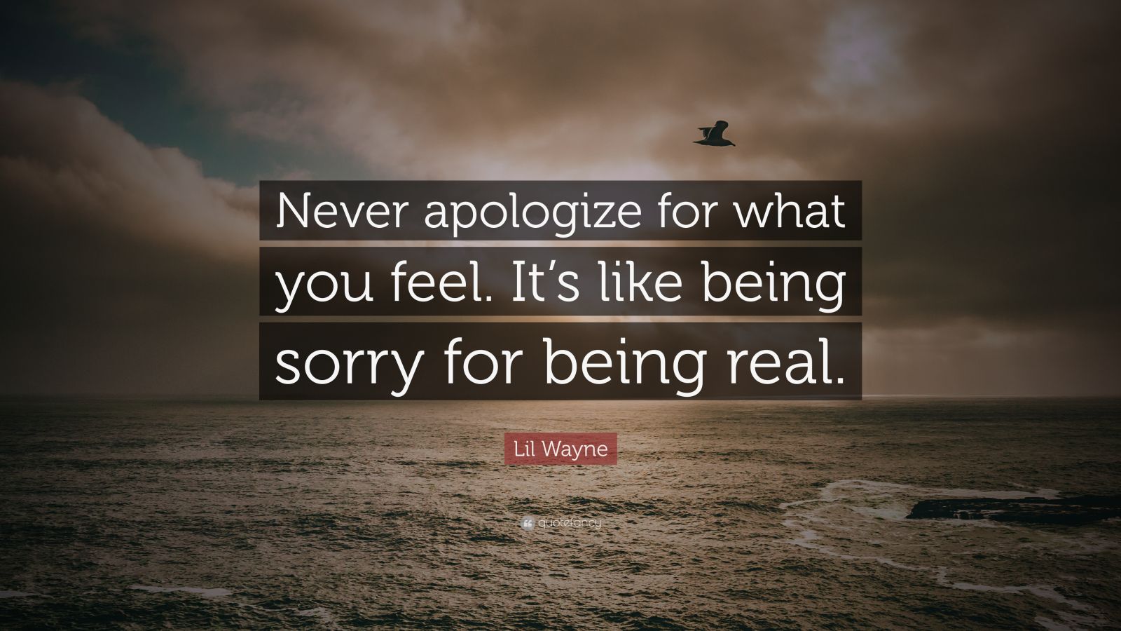 Lil Wayne Quote: “Never apologize for what you feel. It’s like being ...
