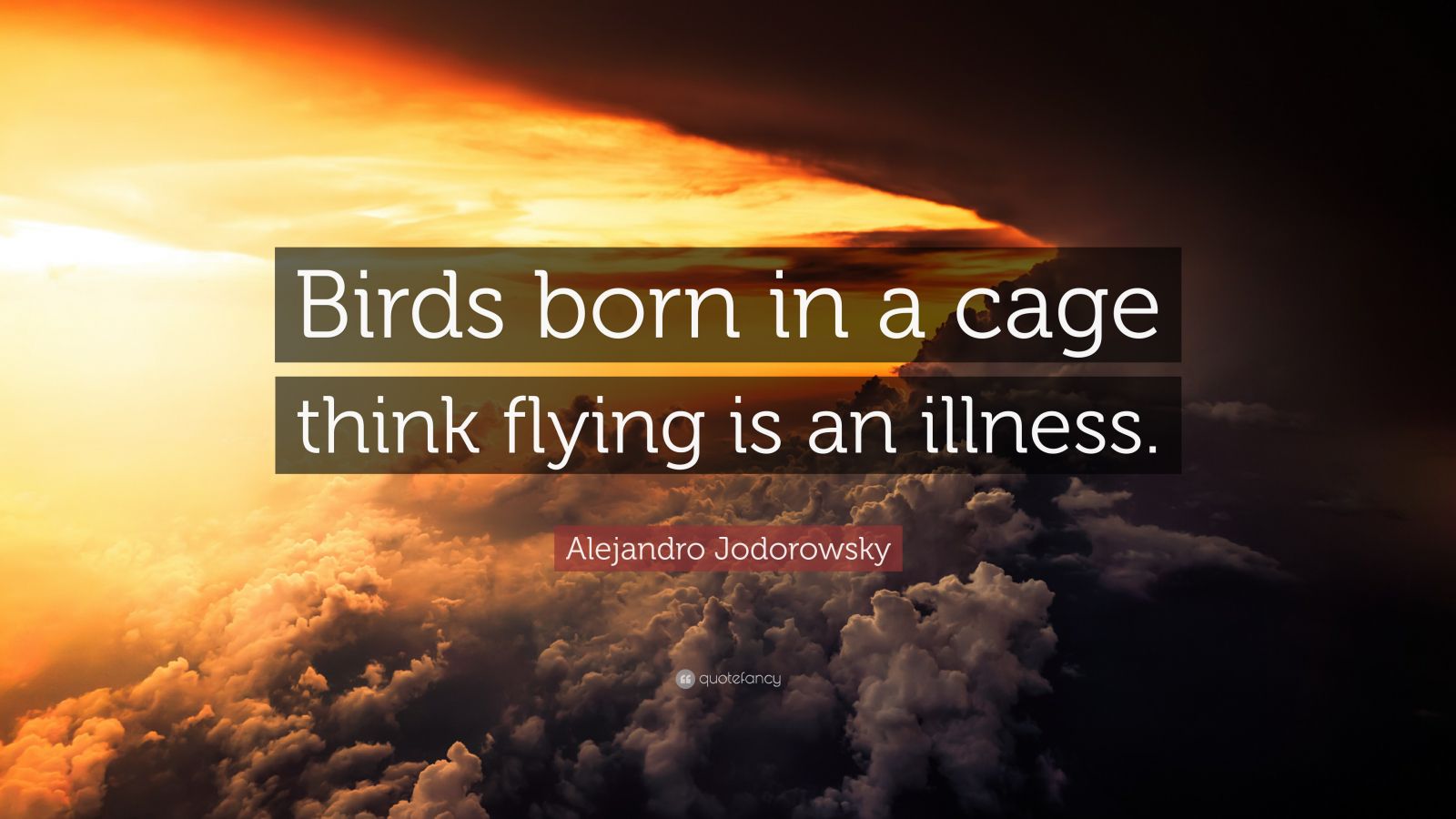 Alejandro Jodorowsky Quote: “Birds born in a cage think flying is an ...