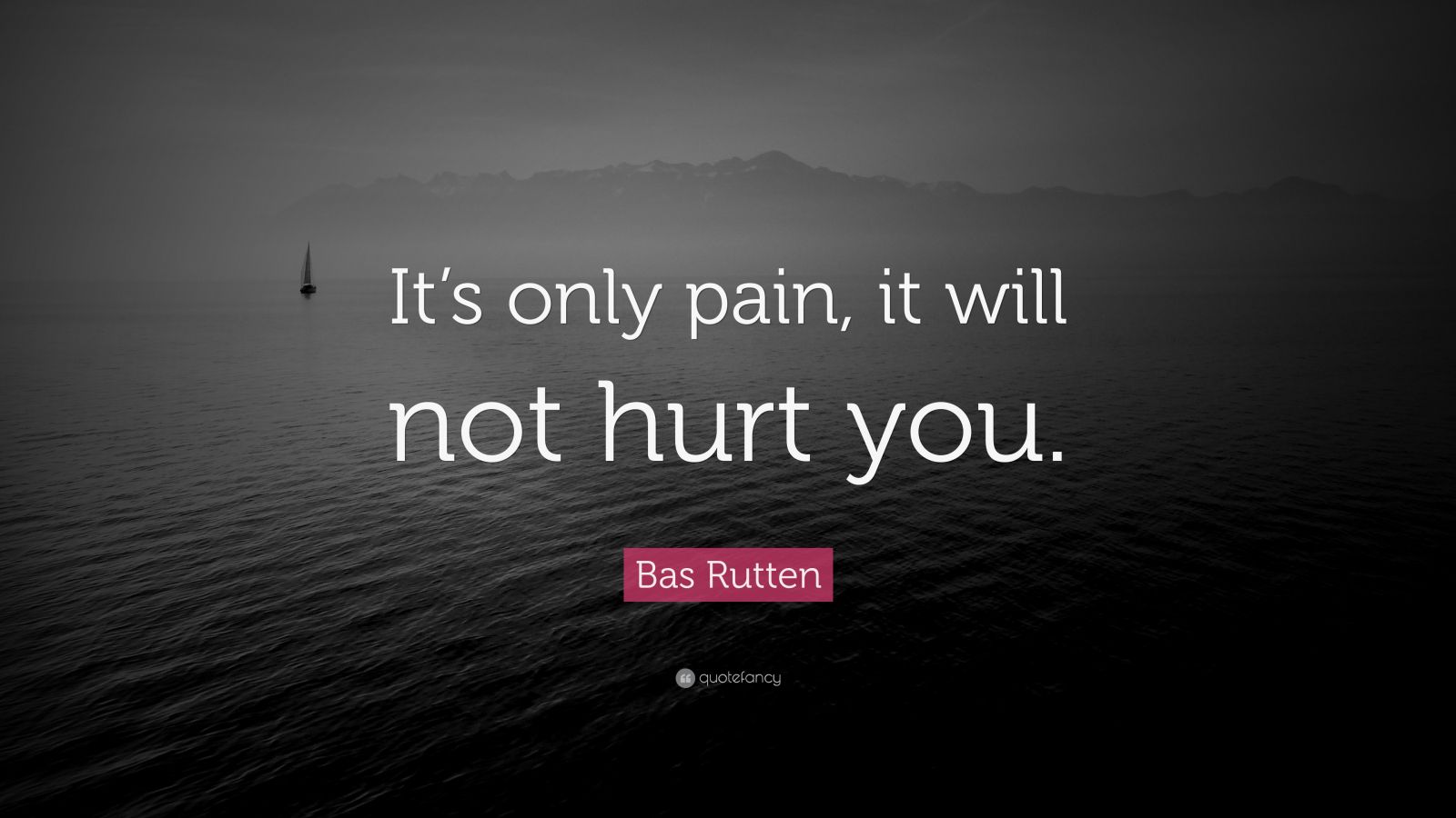 Bas Rutten Quote: “It’s only pain, it will not hurt you.” (12 ...