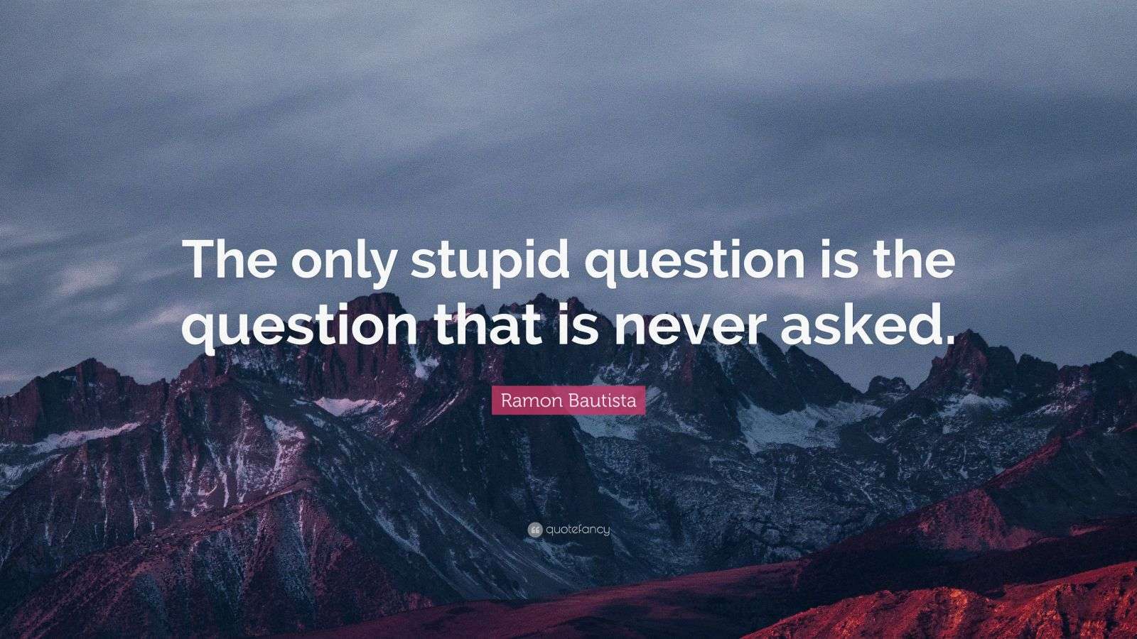 Ramon Bautista Quote: “The only stupid question is the question that is ...