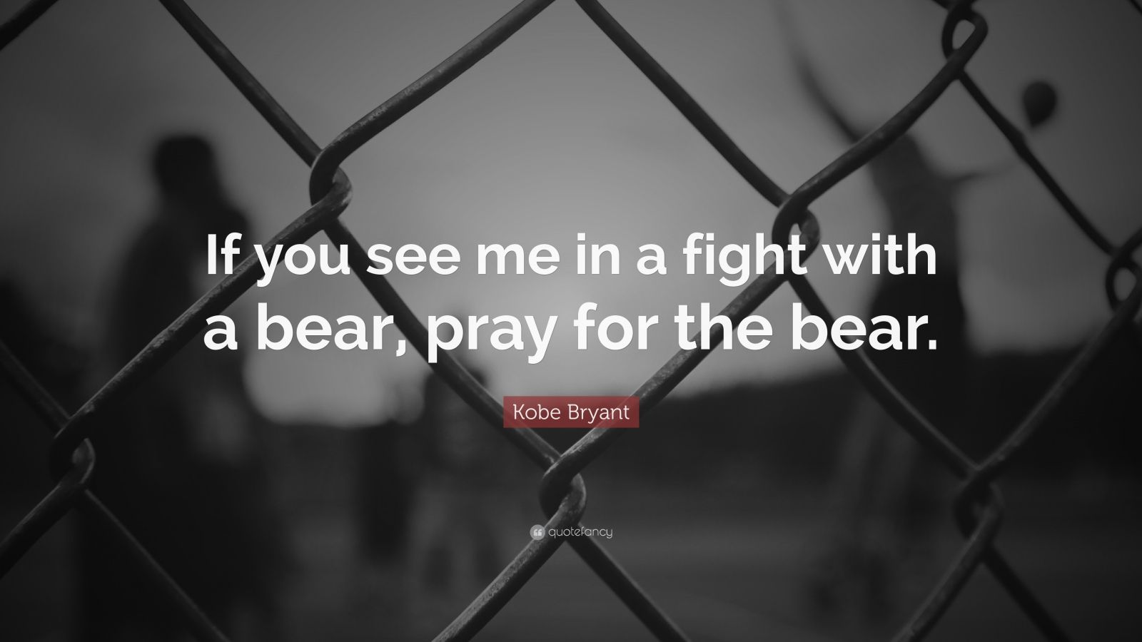 Kobe Bryant Quote: “If you see me in a fight with a bear, pray for the ...