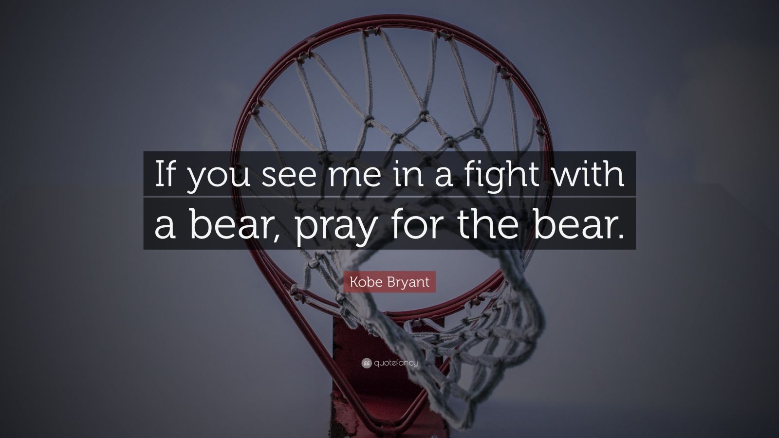 Kobe Bryant Quote: “If you see me in a fight with a bear, pray for the ...