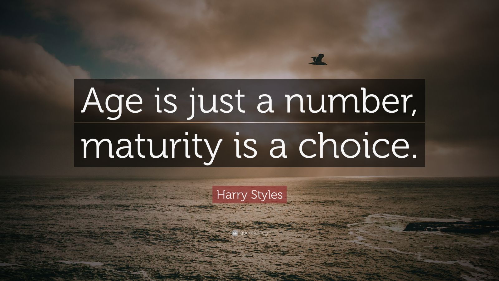 Harry Styles Quote: “Age is just a number, maturity is a choice.” (12 ...