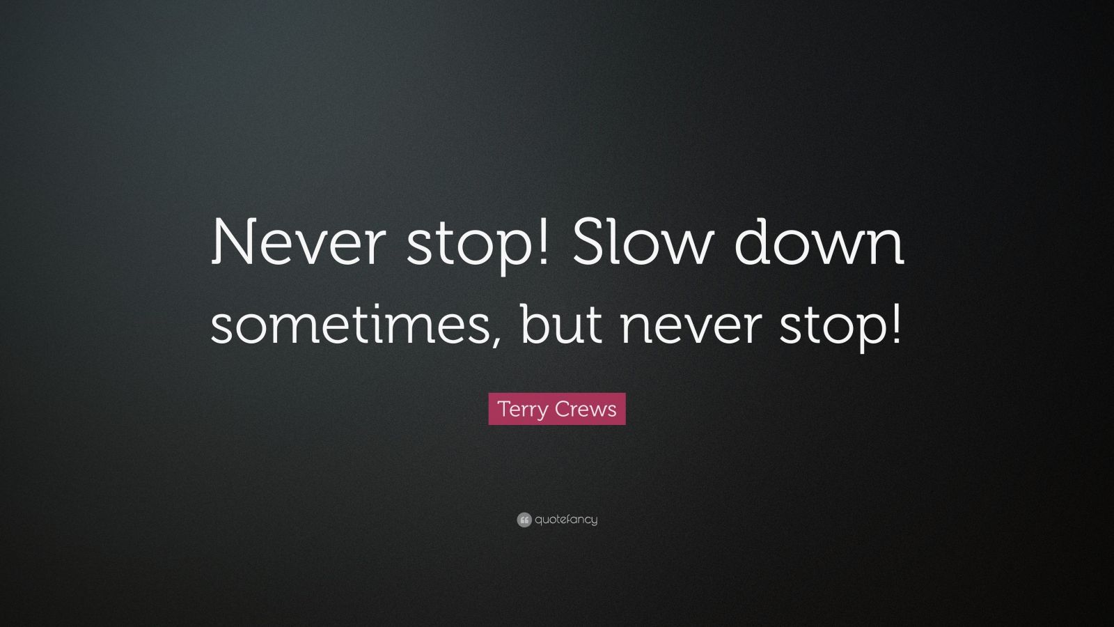 Terry Crews Quote: “Never stop! Slow down sometimes, but never stop ...
