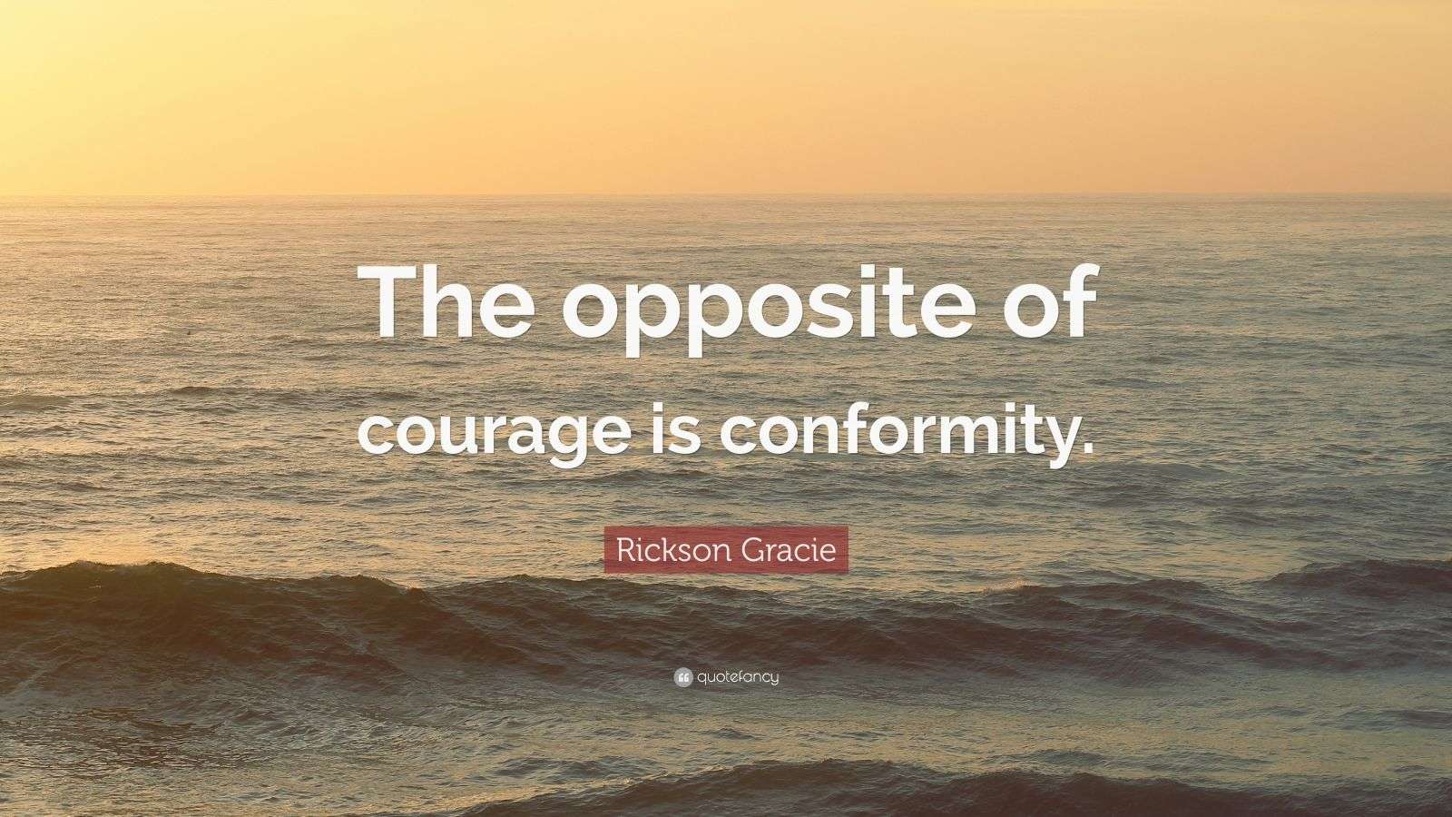 Rickson Gracie Quote: “The opposite of courage is conformity.” (9 ...