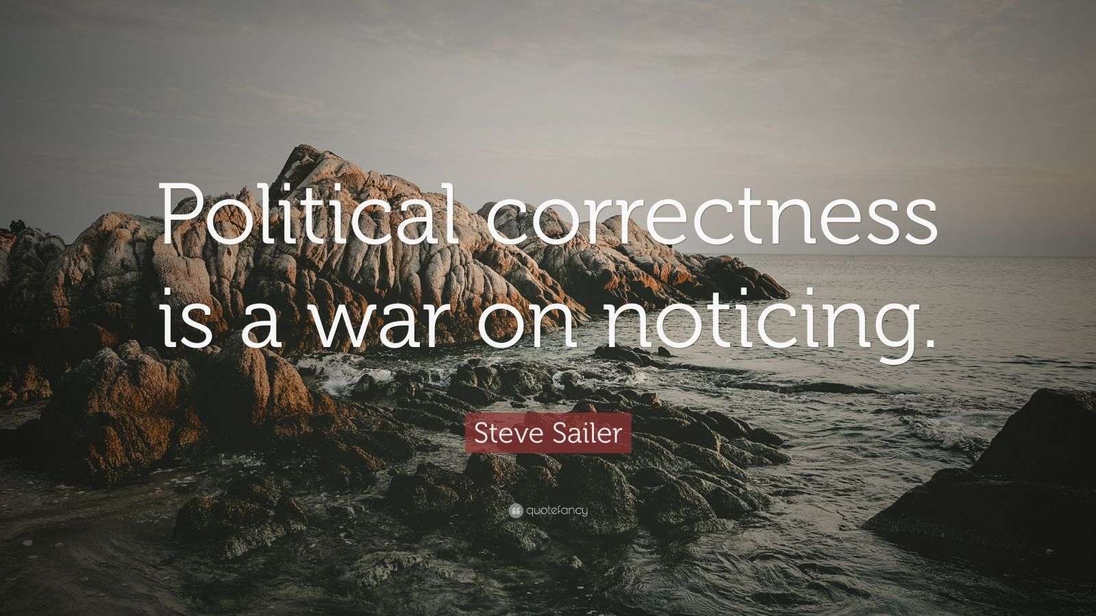 Steve Sailer Quote: “Political correctness is a war on noticing.” (12 ...