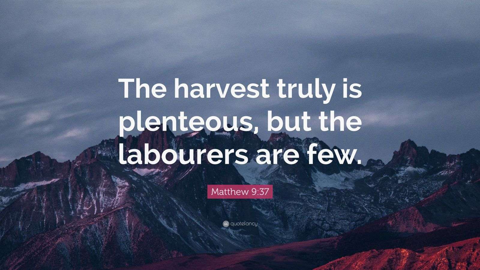 Matthew 9:37 Quote: “The harvest truly is plenteous, but the labourers ...