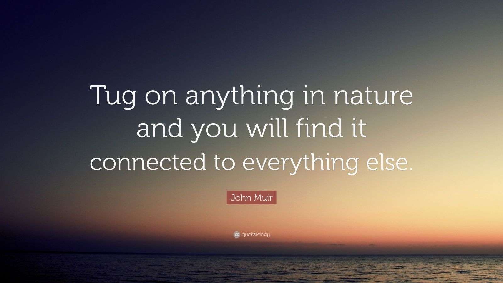 John Muir Quote: “Tug on anything in nature and you will find it ...