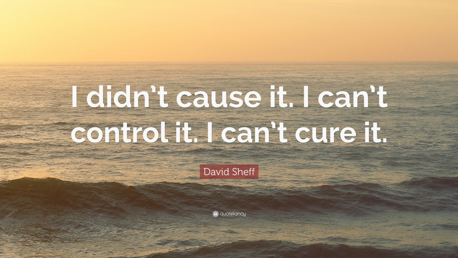 David Sheff Quote: “I didn’t cause it. I can’t control it. I can’t cure ...