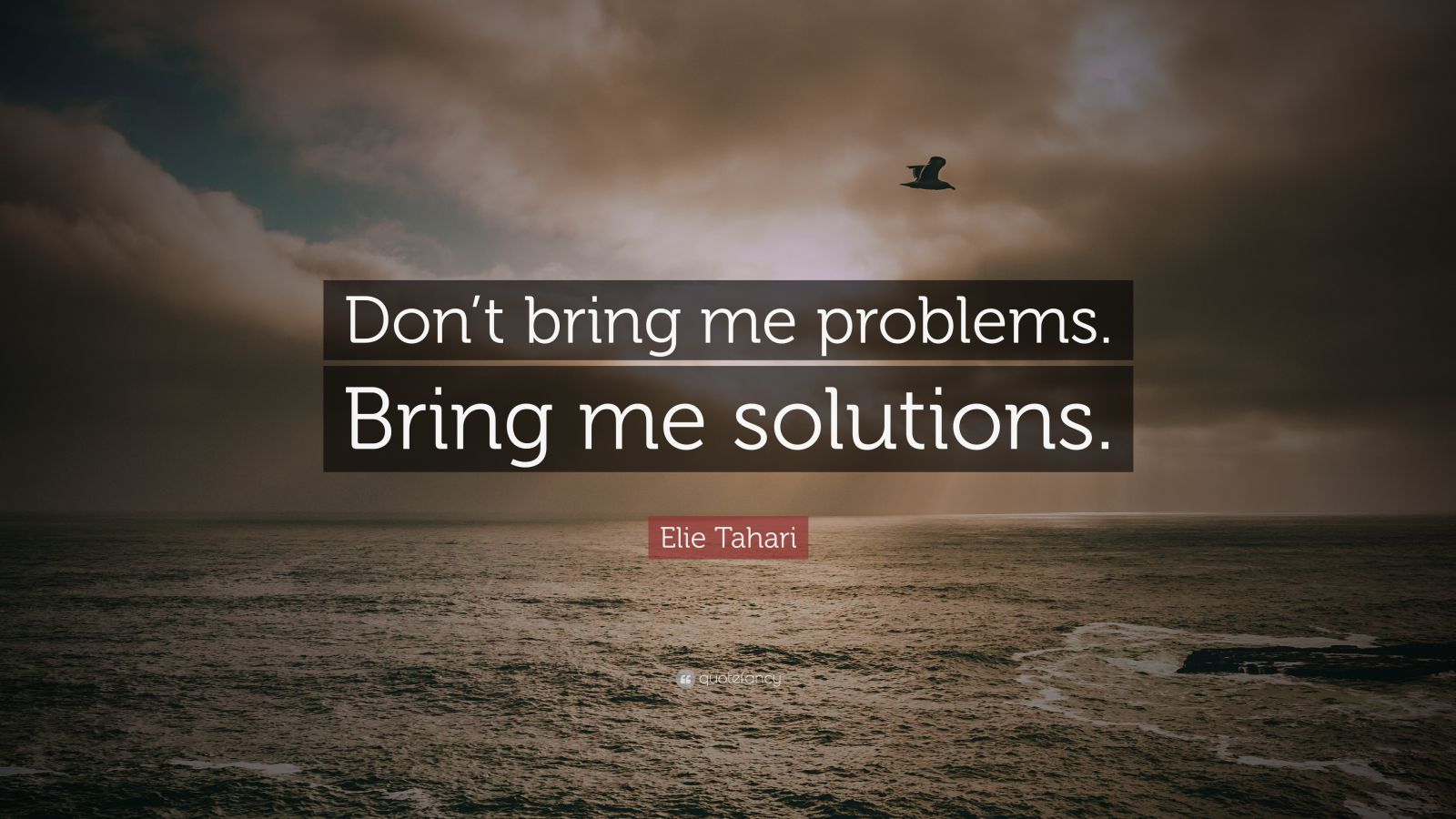 Elie Tahari Quote: “Don’t bring me problems. Bring me solutions.” (12 ...