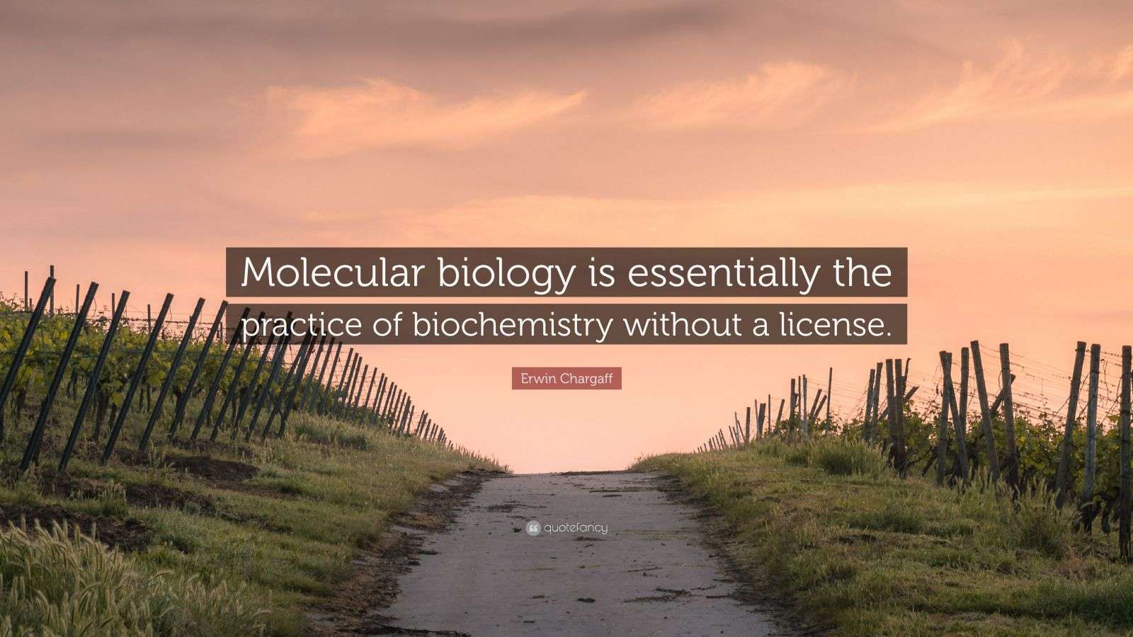 Erwin Chargaff Quote: “Molecular biology is essentially the practice of ...