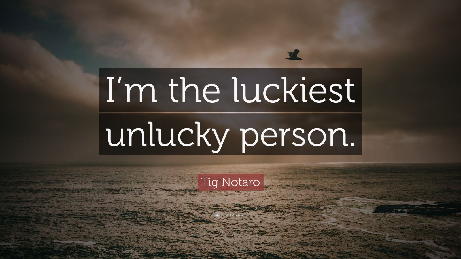 Tig Notaro Quote: “I’m the luckiest unlucky person.” (12 wallpapers ...