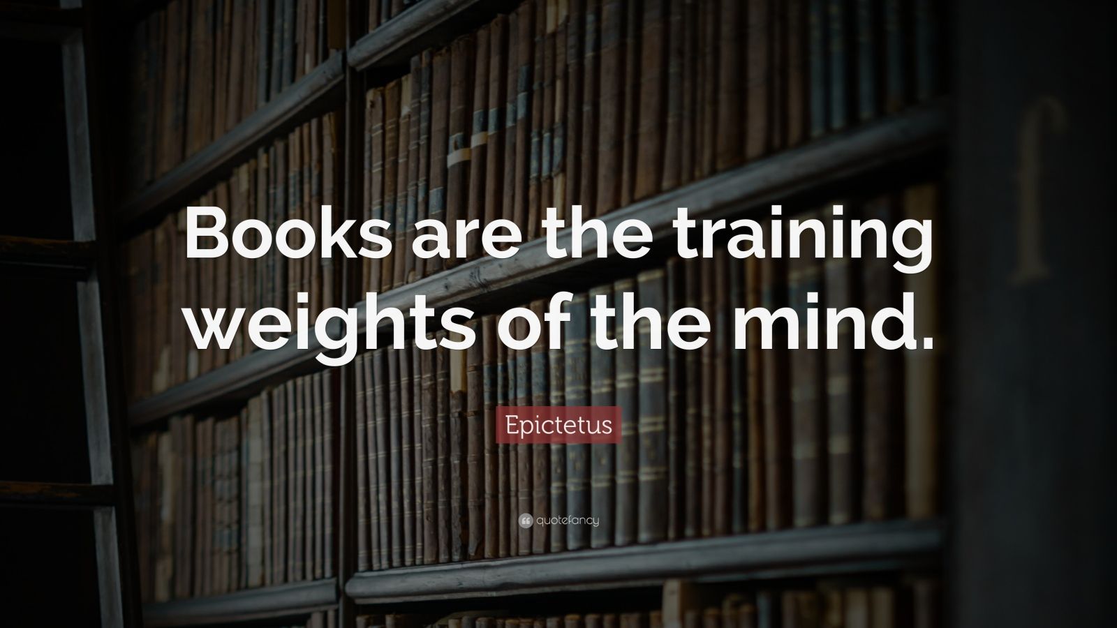 Top 500 Book Quotes (2026 Update) - QuoteFancy