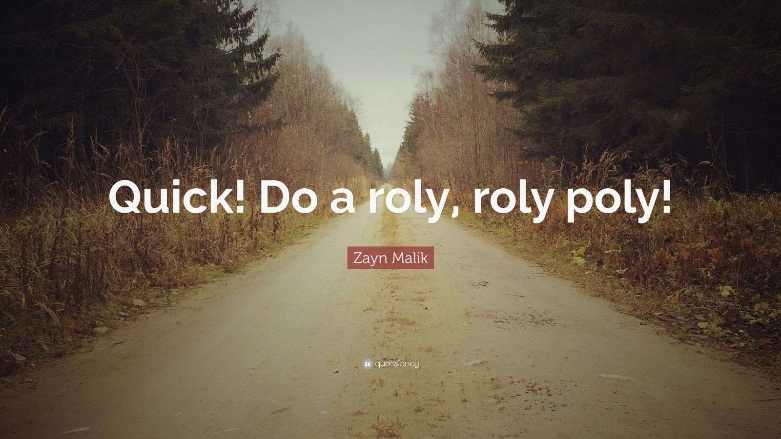 Zayn Malik Quote: “Quick! Do a roly, roly poly!” (12 wallpapers ...