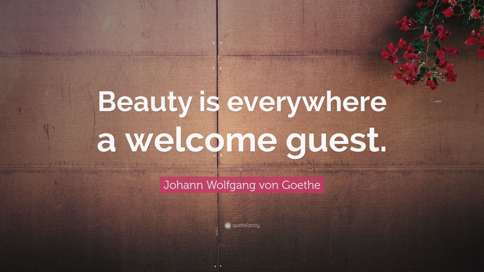 Johann Wolfgang von Goethe Quote: “Beauty is everywhere a welcome guest ...