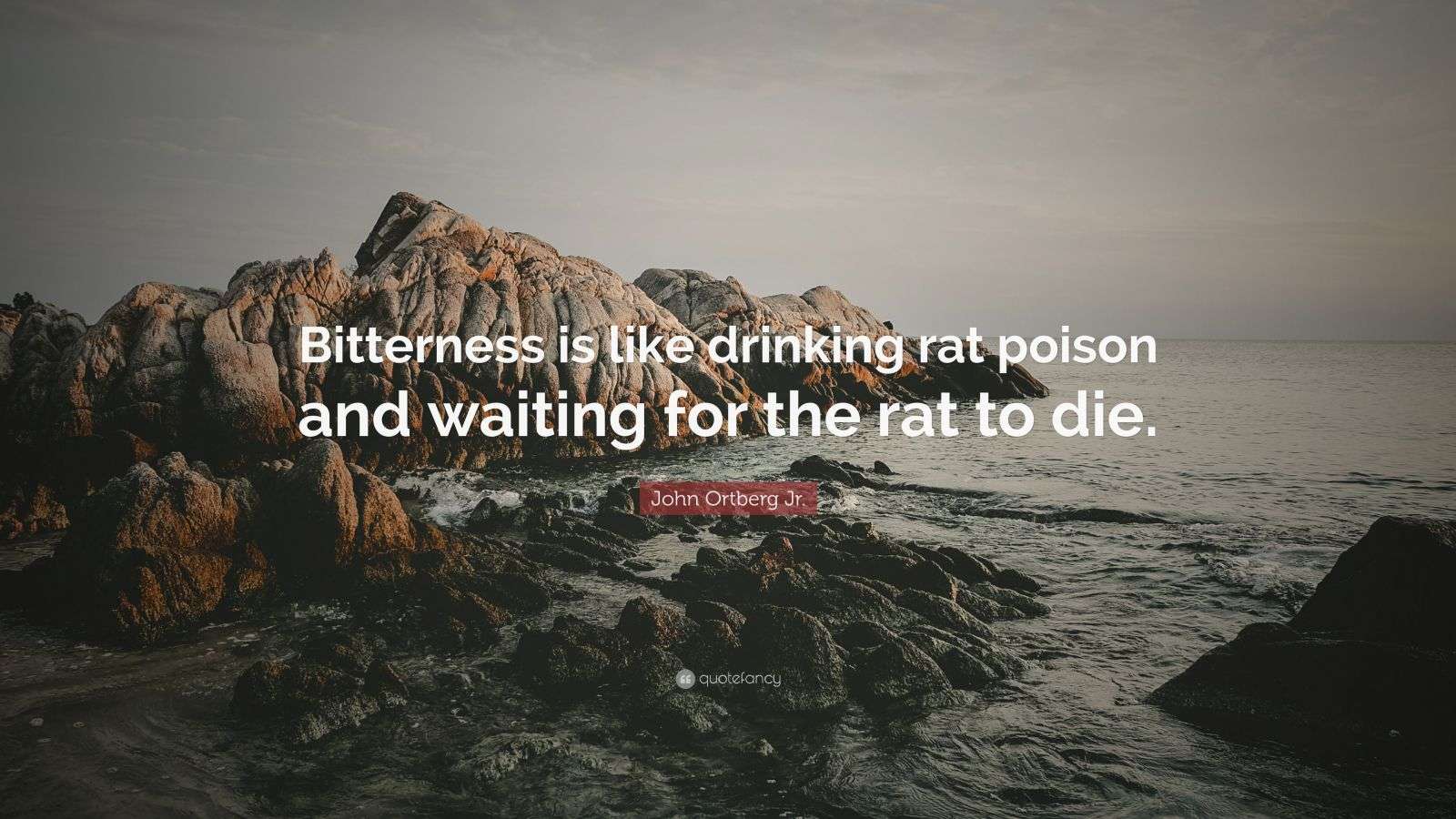 John Ortberg Jr. Quote: “Bitterness is like drinking rat poison and ...