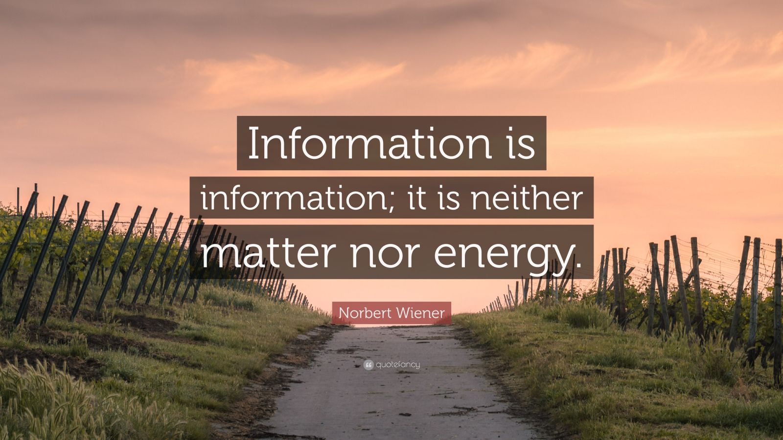 Norbert Wiener Quote: “Information is information; it is neither matter ...