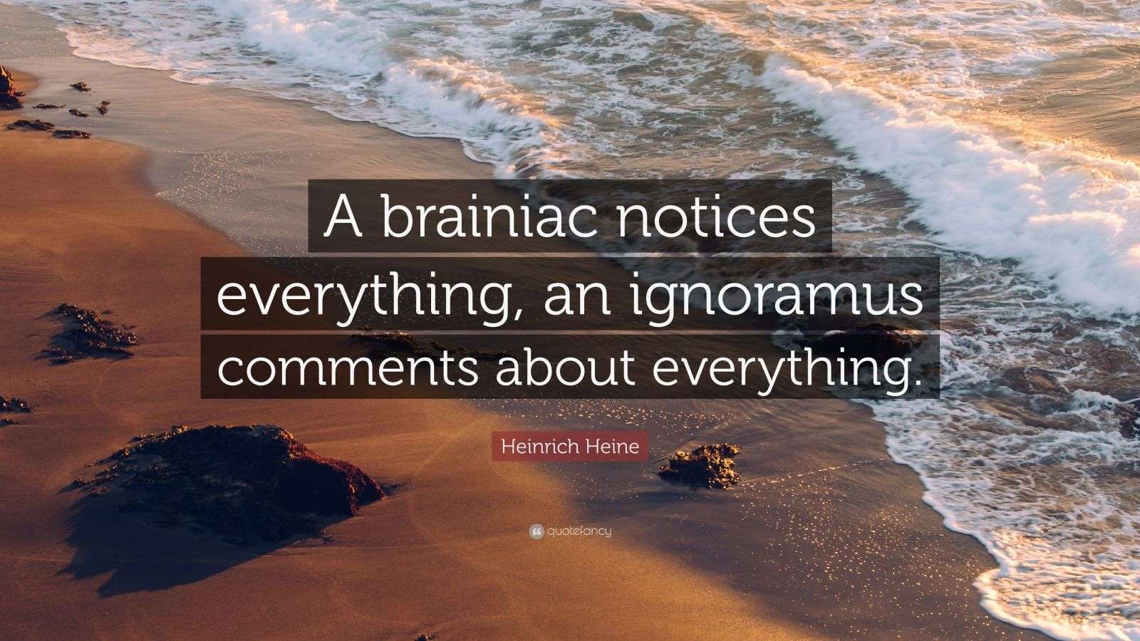 Heinrich Heine Quote: “A brainiac notices everything, an ignoramus ...