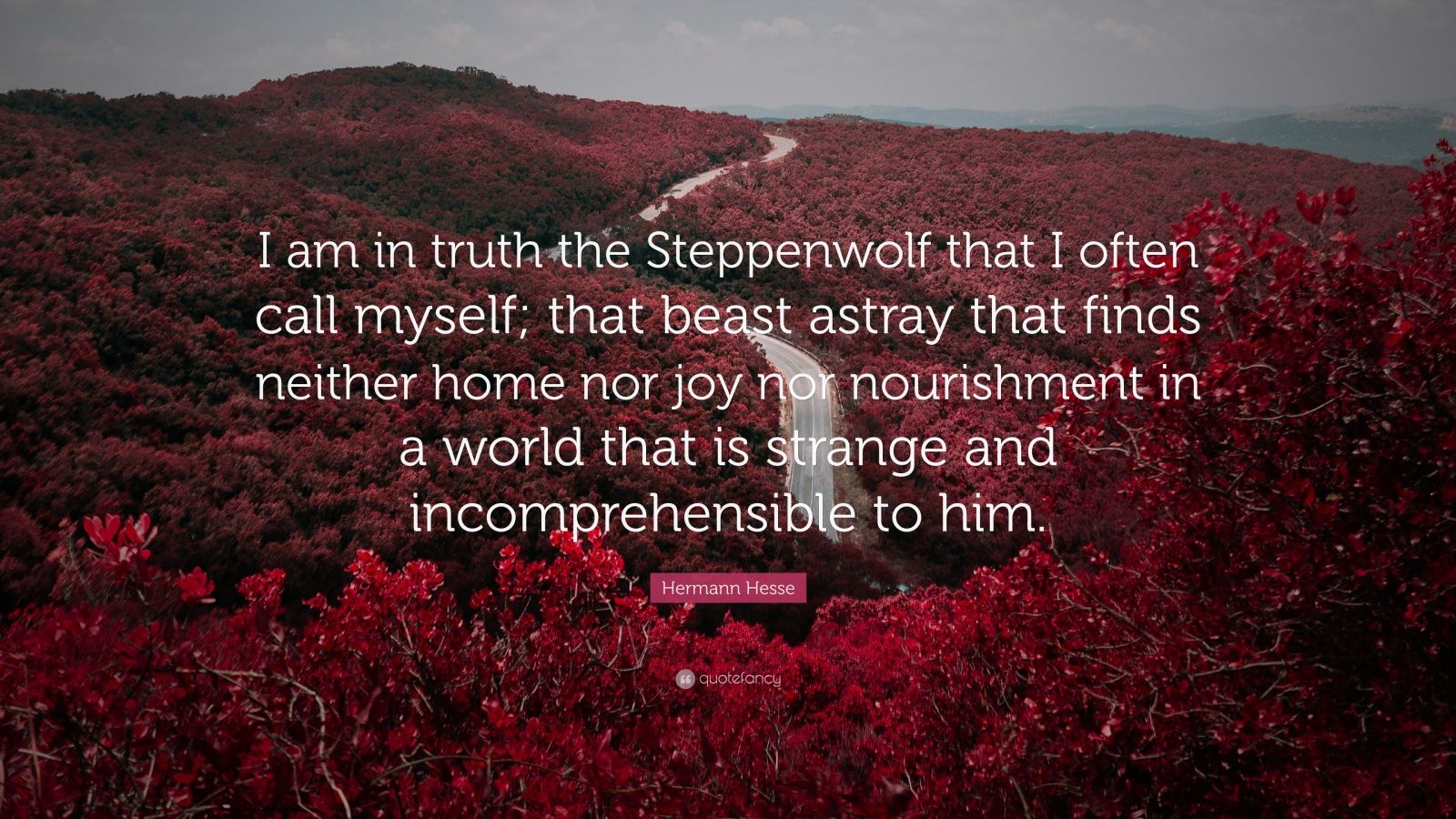 Hermann Hesse Quote: “I am in truth the Steppenwolf that I often call ...