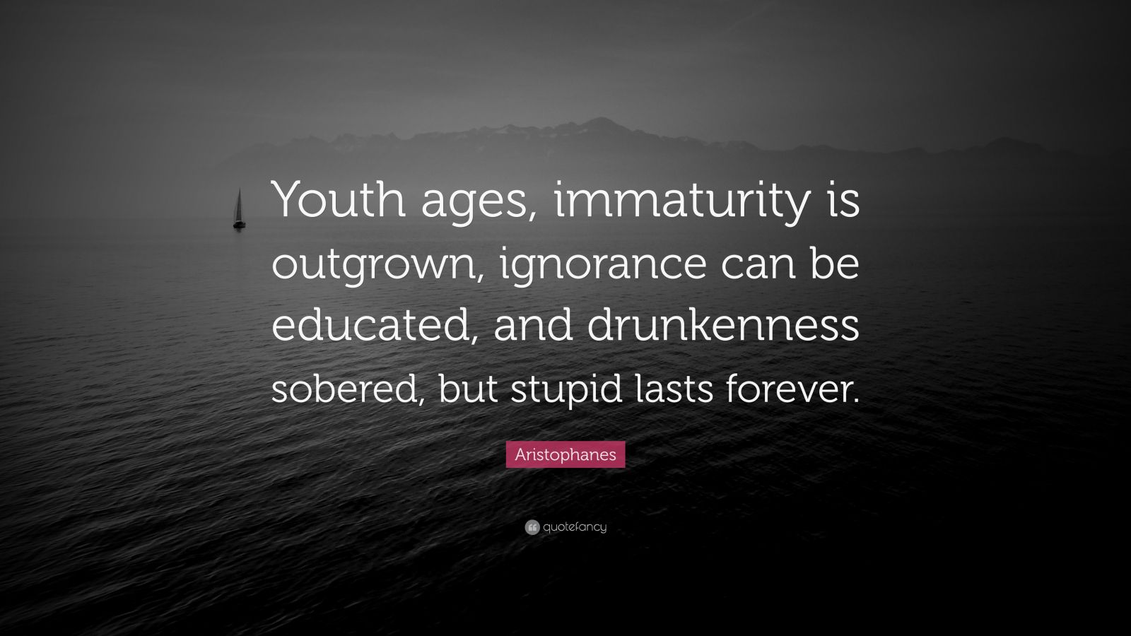 Aristophanes Quote: “Youth ages, immaturity is outgrown, ignorance can ...