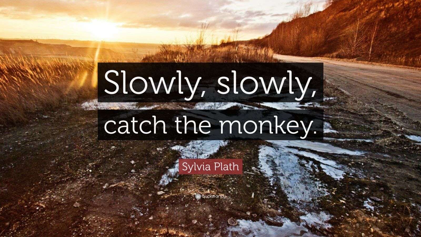 Sylvia Plath Quote: “Slowly, slowly, catch the monkey.” (12 wallpapers ...