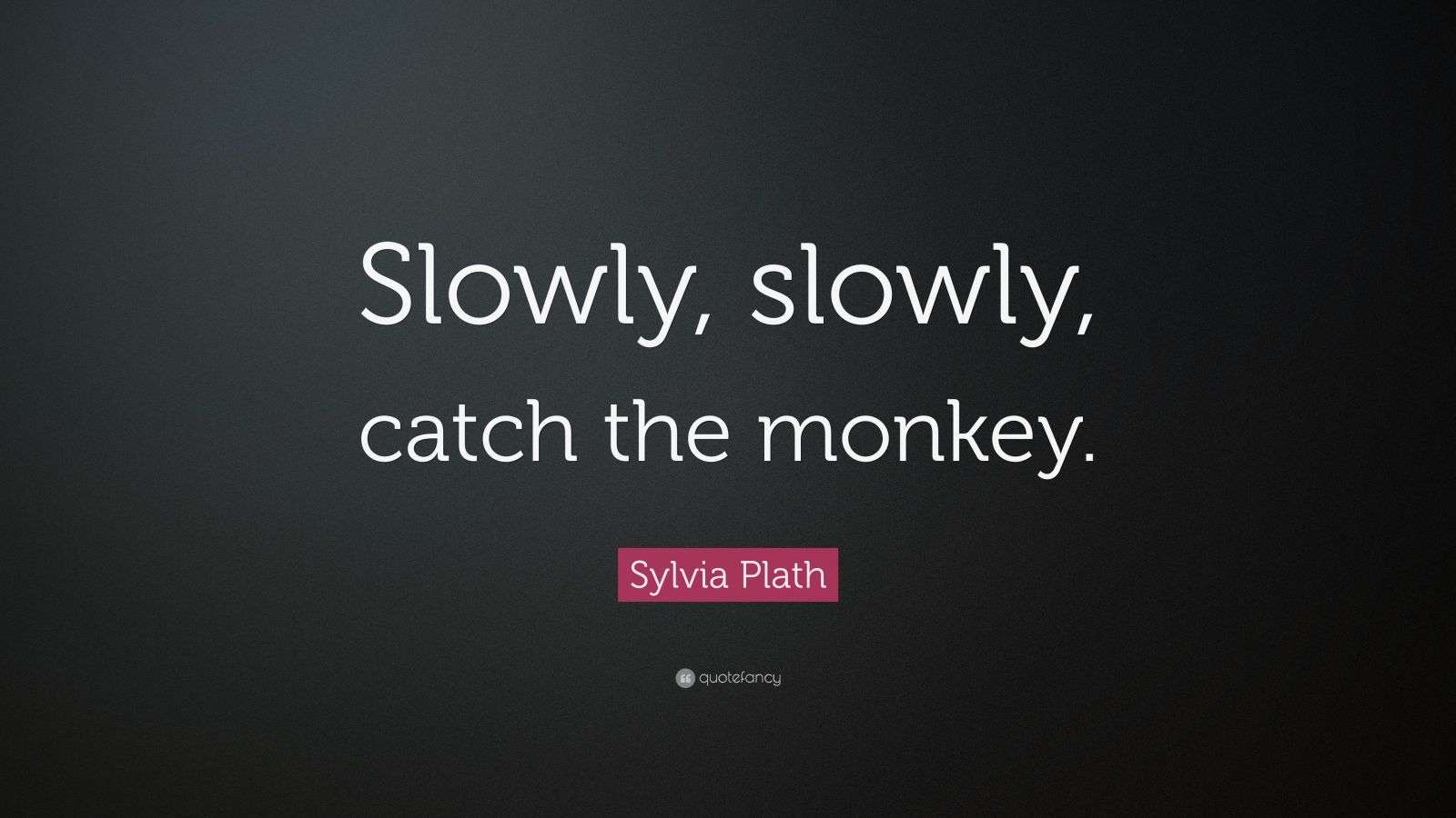 Sylvia Plath Quote: “Slowly, slowly, catch the monkey.” (12 wallpapers ...