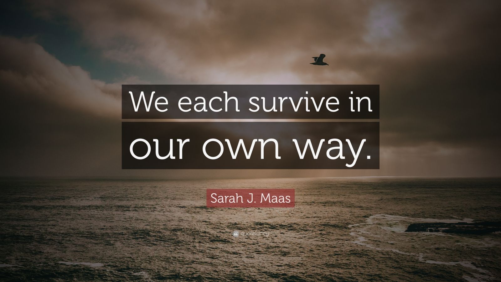 Sarah J. Maas Quote: “We each survive in our own way.” (12 wallpapers ...
