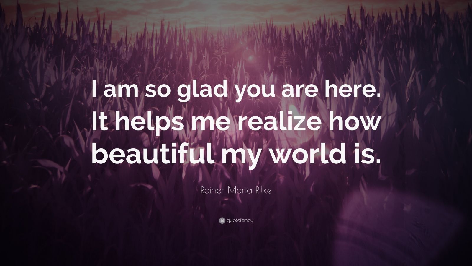 Rainer Maria Rilke Quote: “I am so glad you are here. It helps me ...