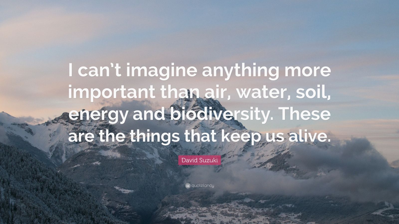David Suzuki Quote: “I can’t imagine anything more important than air ...