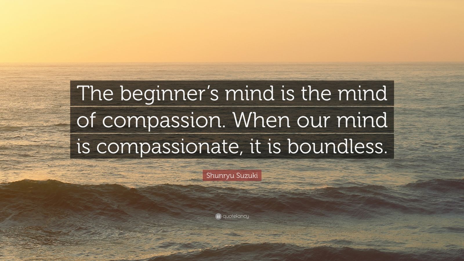 Shunryu Suzuki Quote: “The beginner’s mind is the mind of compassion ...