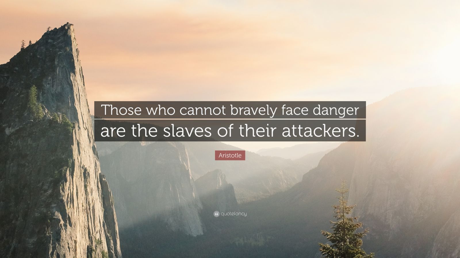 Aristotle Quote: “Those who cannot bravely face danger are the slaves ...