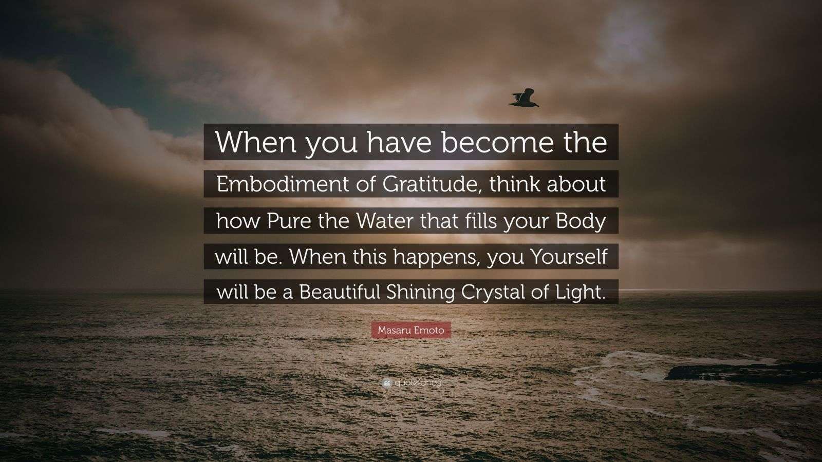 Masaru Emoto Quote: “When you have become the Embodiment of Gratitude ...