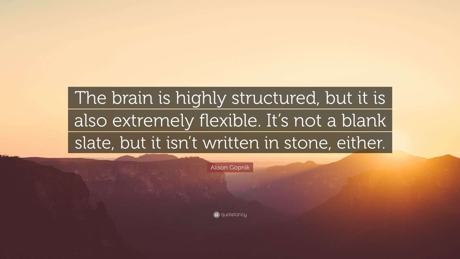 Alison Gopnik Quote: “The brain is highly structured, but it is also ...