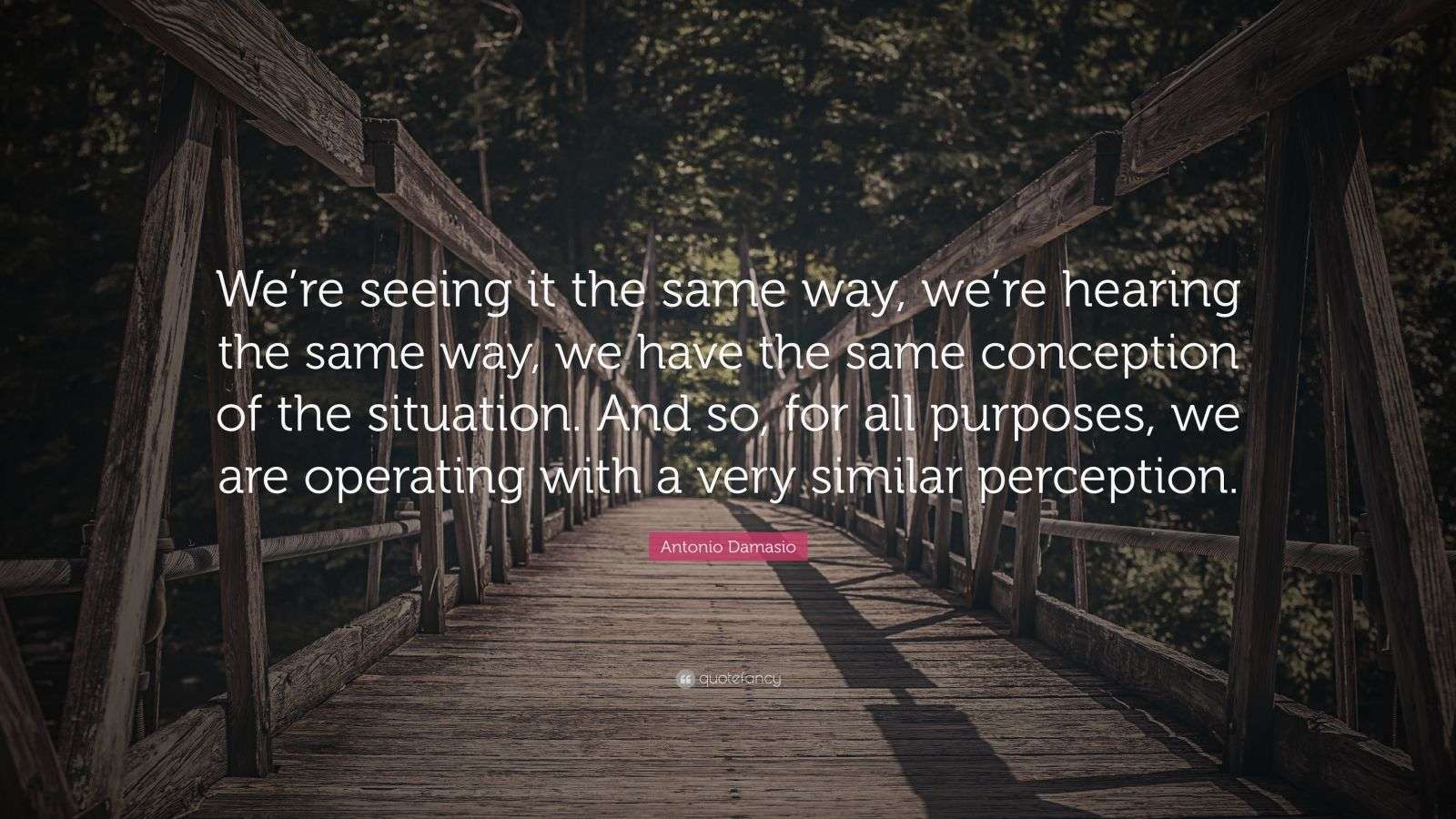 Antonio Damasio Quote: “We’re seeing it the same way, we’re hearing the ...