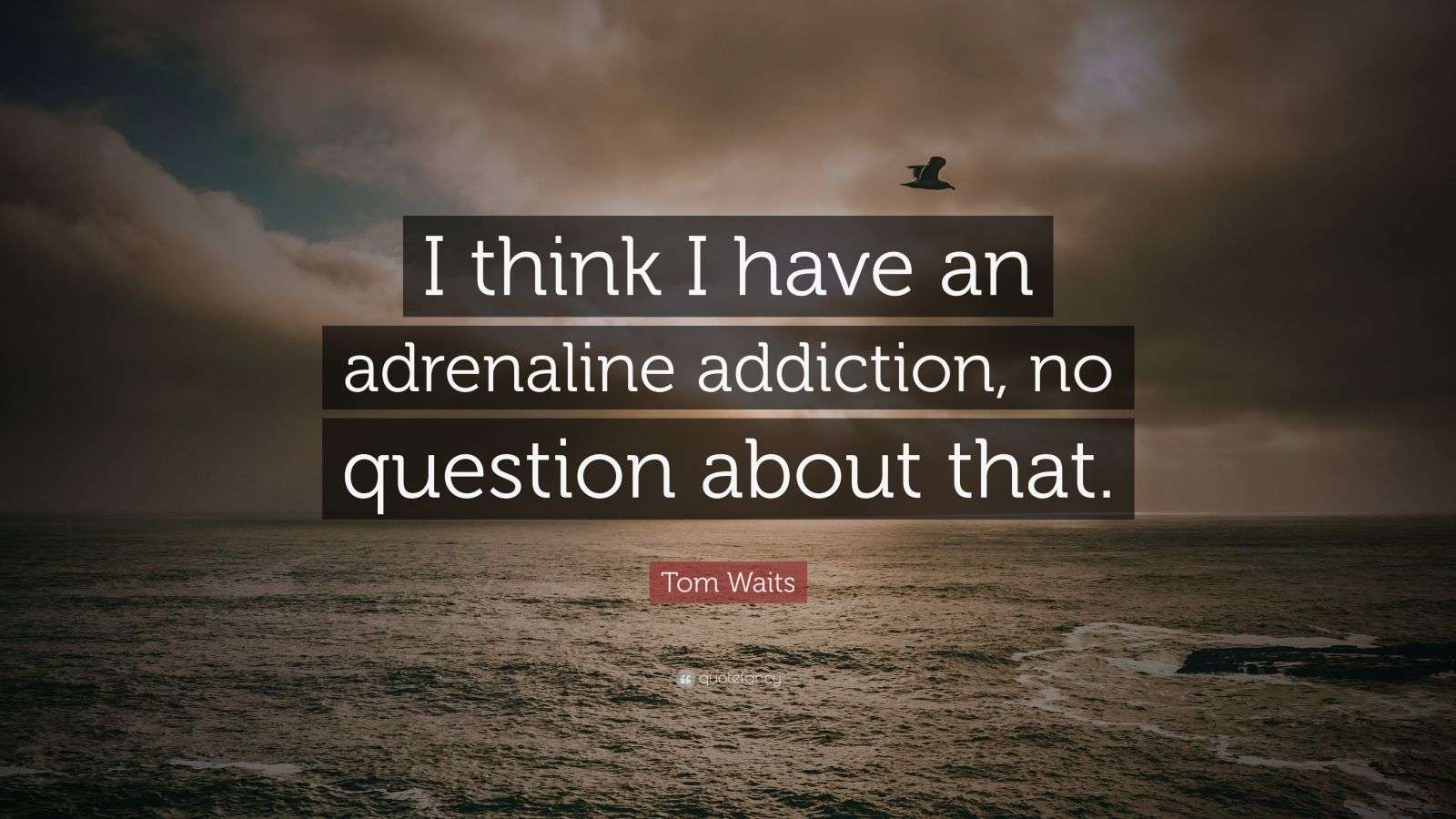 Tom Waits Quote: “I think I have an adrenaline addiction, no question ...