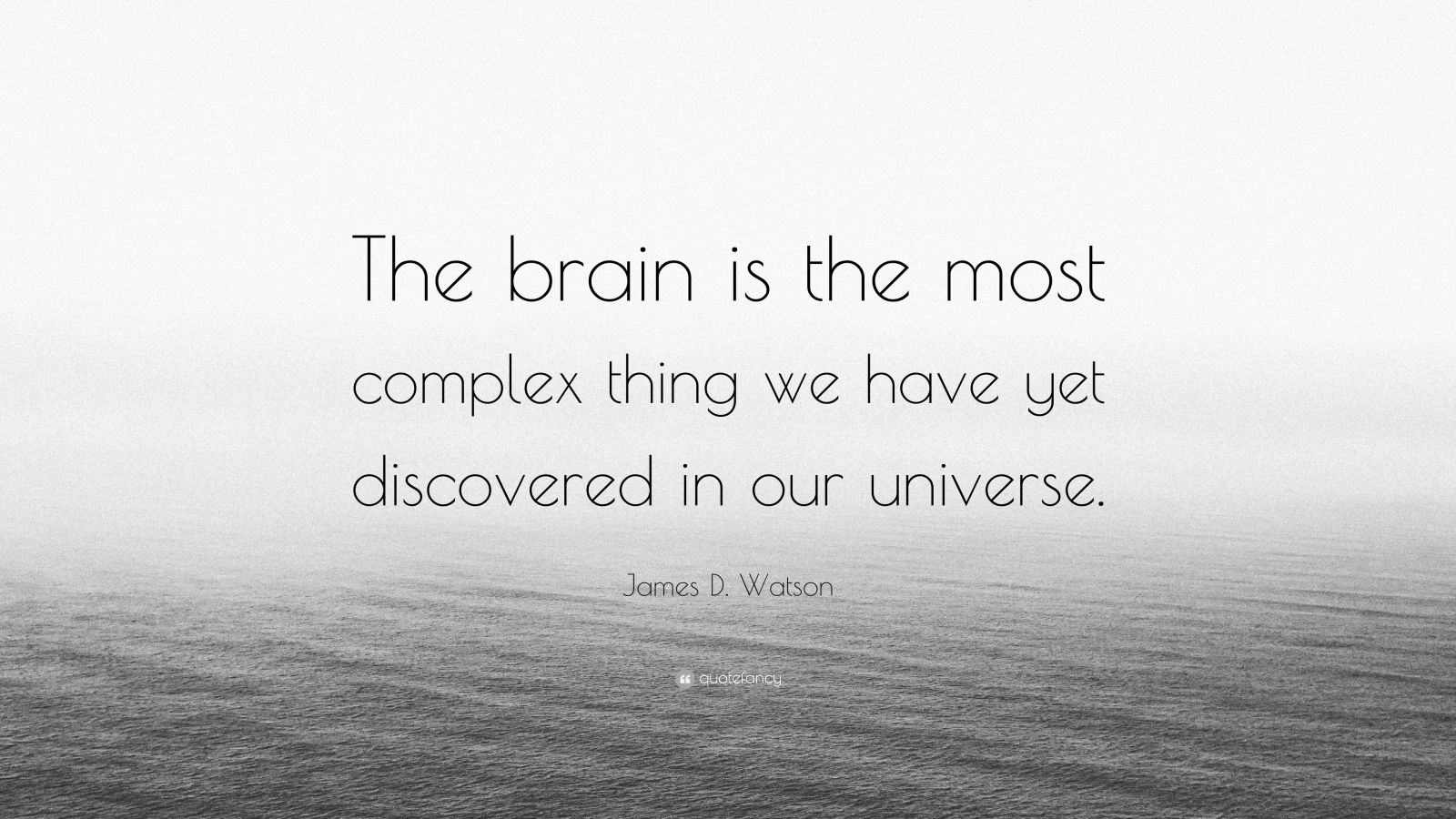 James D. Watson Quote: “The brain, is the most complex thing we have ...