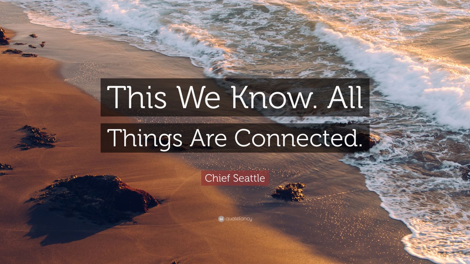 Chief Seattle Quote: “This We Know. All Things Are Connected.” (7 ...