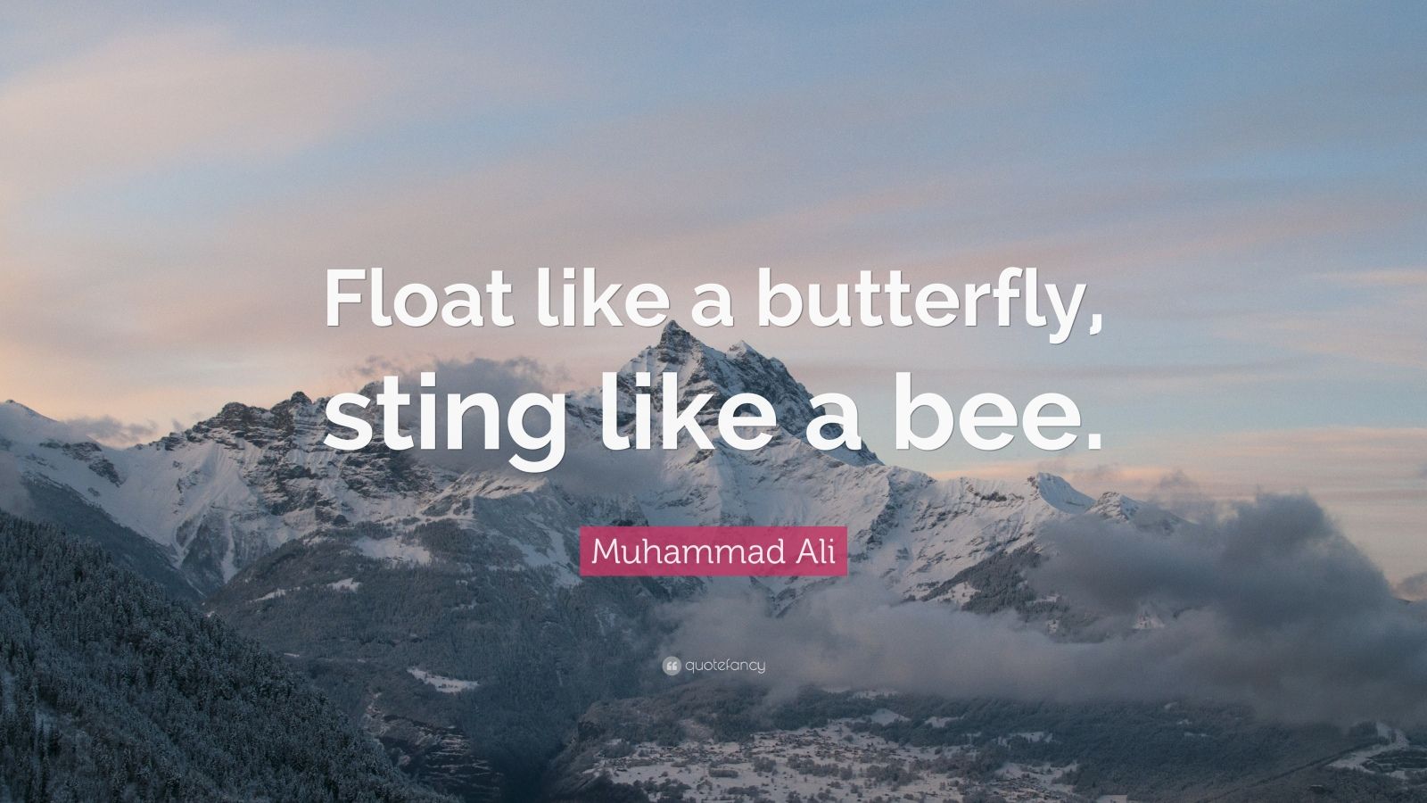 Muhammad Ali Quote: “Float like a butterfly, sting like a bee.” (20 ...
