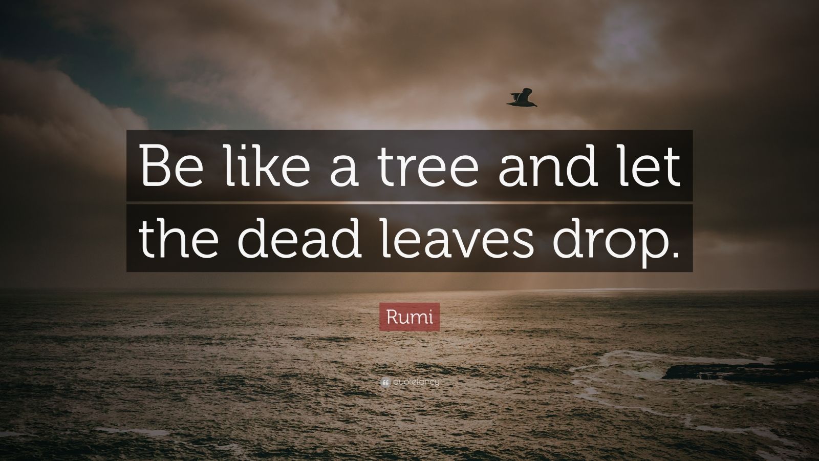 Rumi Quote: “Be like a tree and let the dead leaves drop.” (10 ...