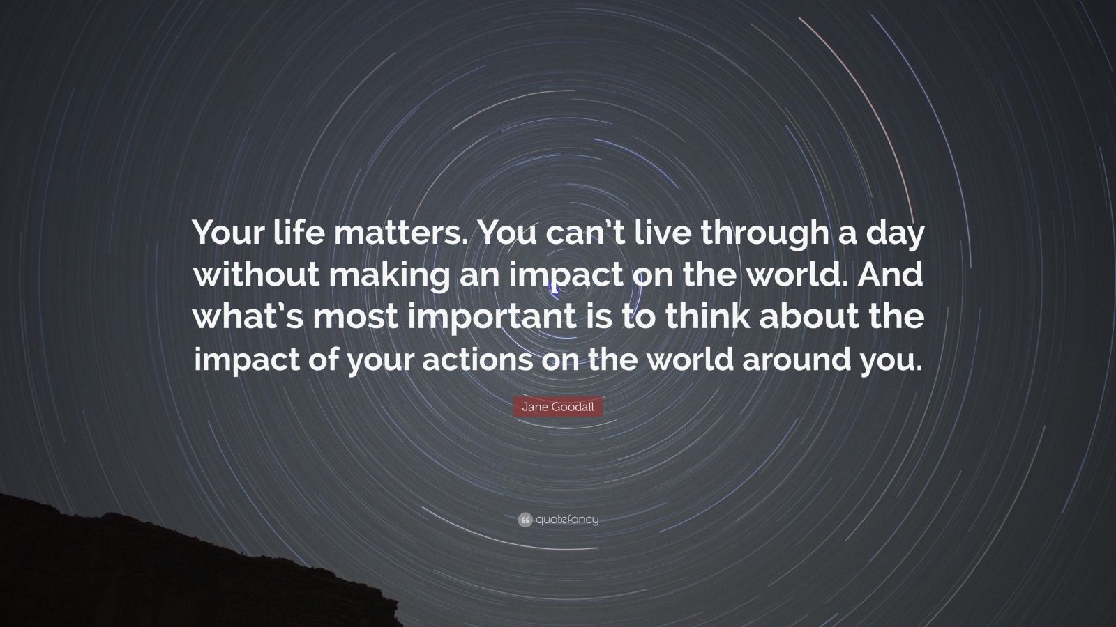 Jane Goodall Quote: “Your life matters. You can’t live through a day ...