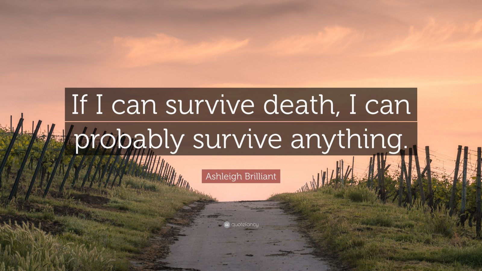 Ashleigh Brilliant Quote: “If I can survive death, I can probably ...