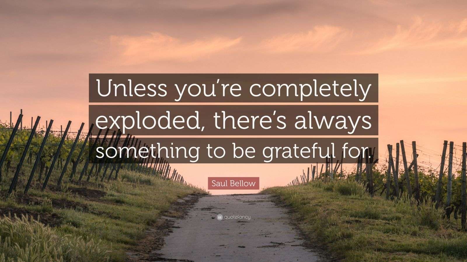Saul Bellow Quote: “Unless you’re completely exploded, there’s always ...