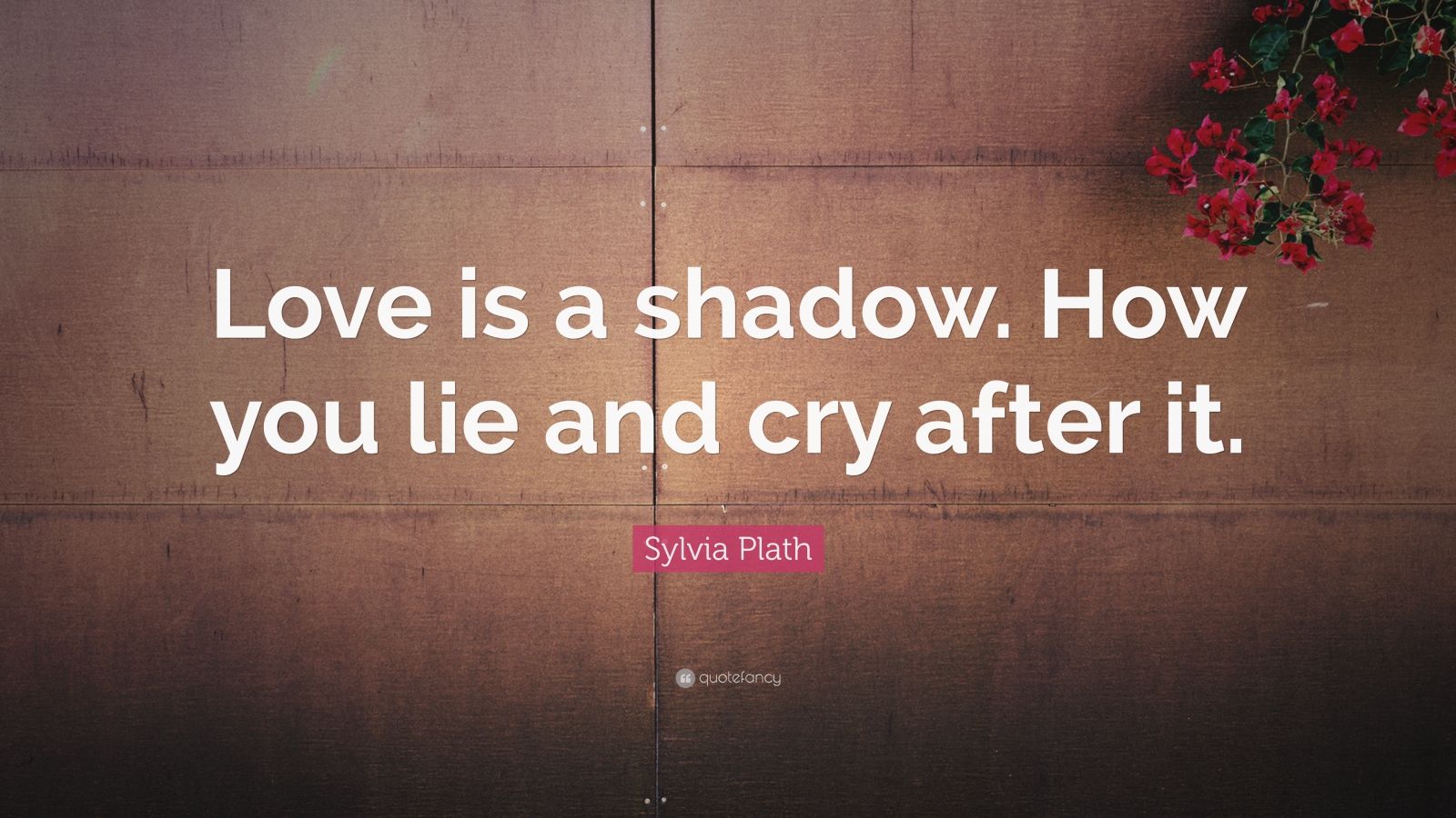 Sylvia Plath Quote: “Love is a shadow. How you lie and cry after it.”