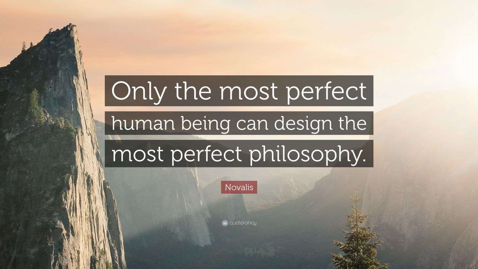 Novalis Quote: “Only the most perfect human being can design the most ...