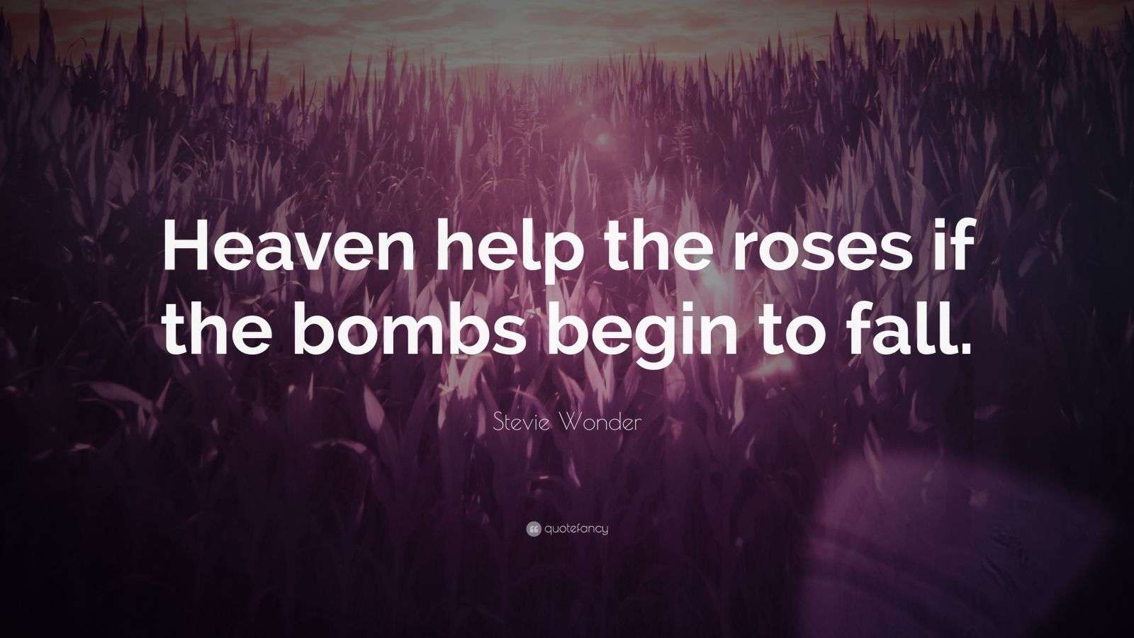 Stevie Wonder Quote: “Heaven help the roses if the bombs begin to fall.”