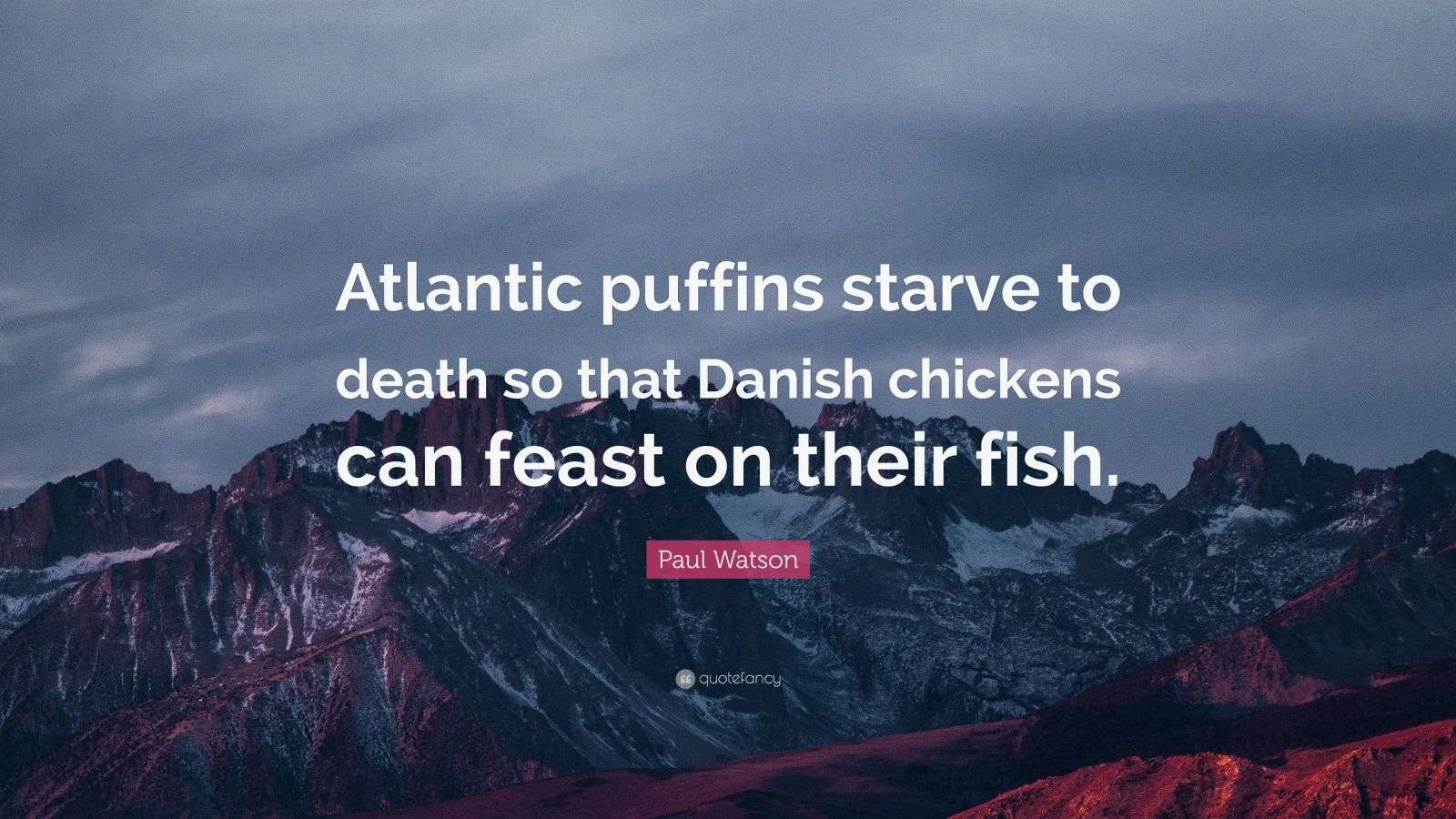 Paul Watson Quote: “Atlantic puffins starve to death so that Danish ...
