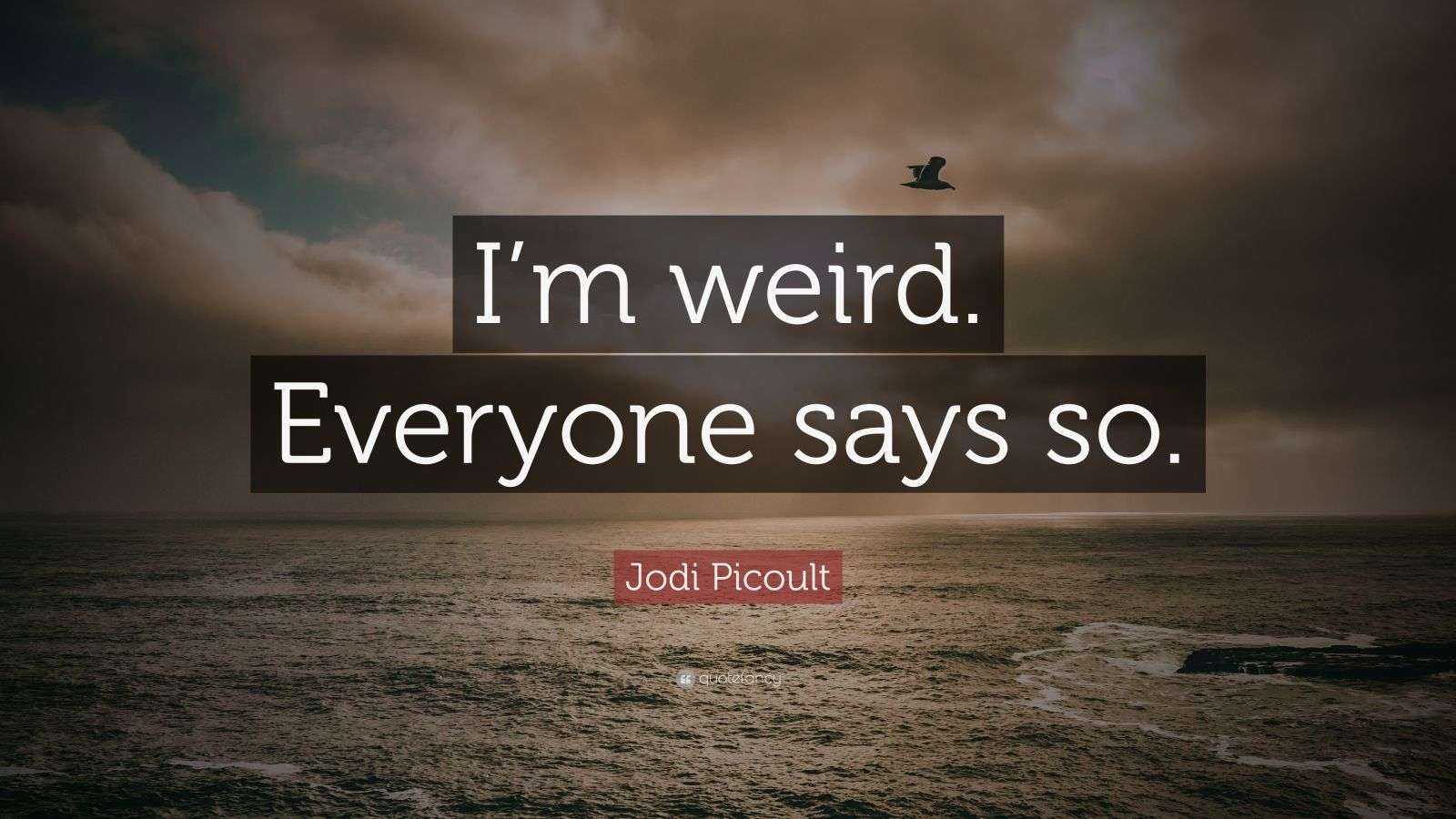 Jodi Picoult Quote: “I’m weird. Everyone says so.”